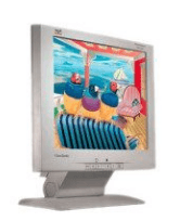 History with a Local AV Company: Computer Monitors